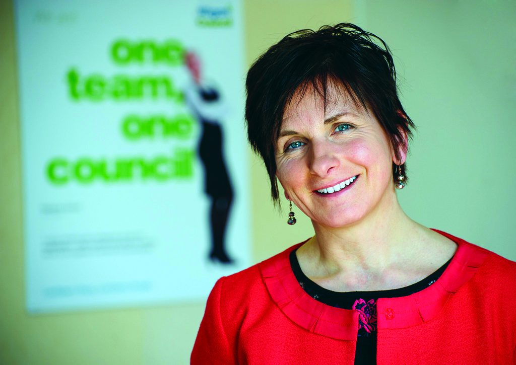 Donna Hall: Health plan is a turning point in public service reform ...