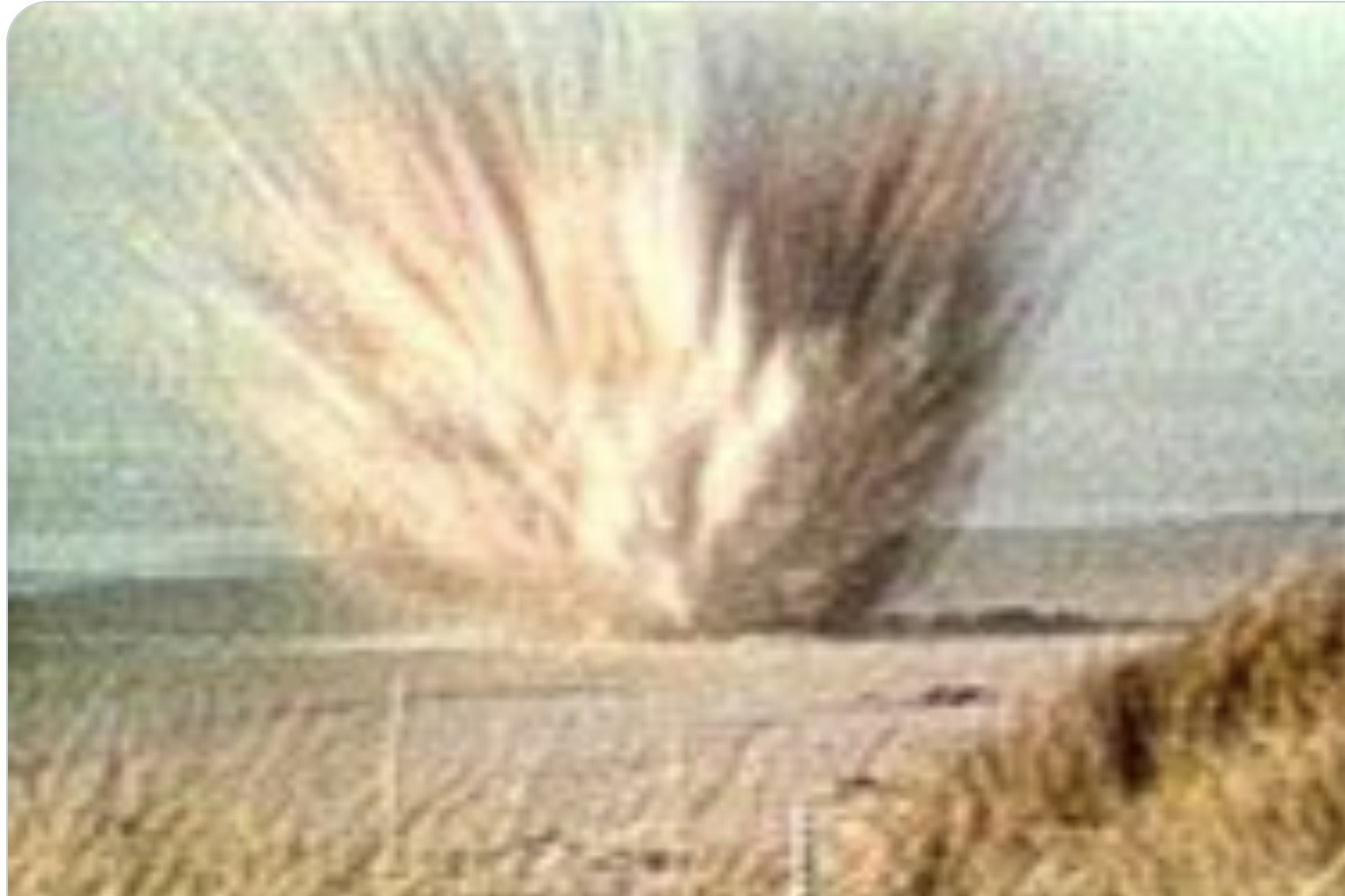 How an exploding whale helped us spread vital Covid messages