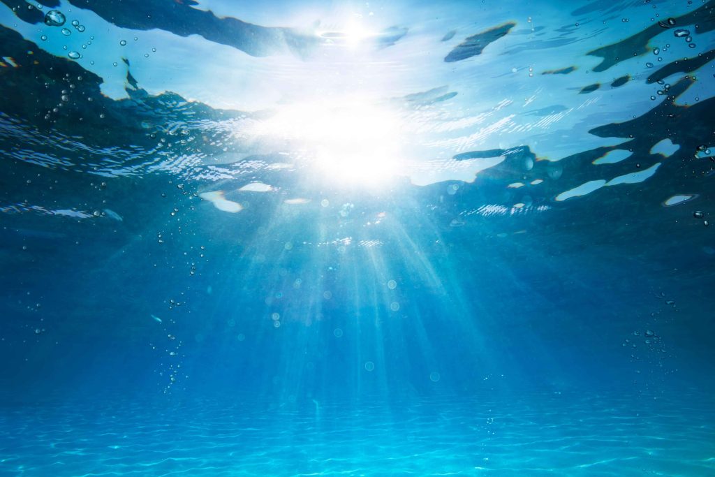 Blue bonds: A growing resource for sustainability financing | Local ...