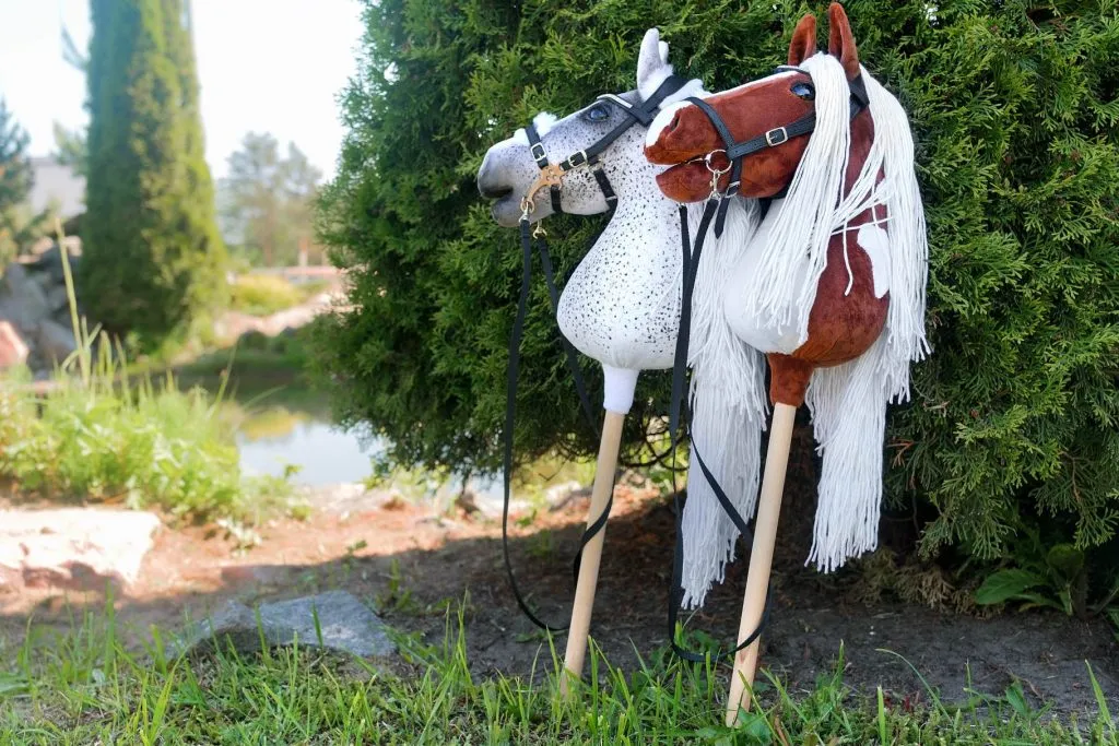 Party leaders are infantalising voters | Local Government Chronicle (LGC)