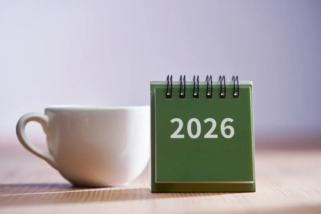 Part II: What will 2026 bring for local government? | Local Government ...