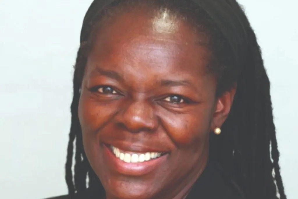 Ann Graham: Send plan must consider wider context | Local Government ...