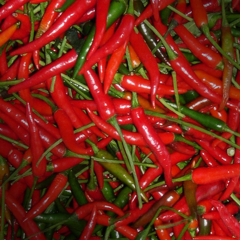 Chilli peppers 'help to burn fat' | Nursing Times
