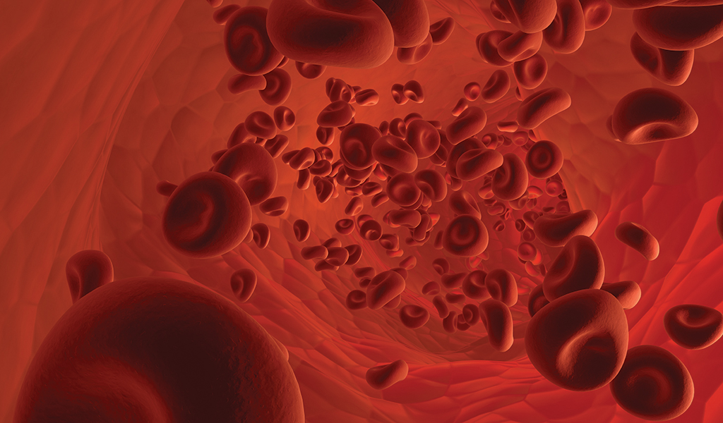 Blood transfusion 2: processing, testing and selecting blood components ...