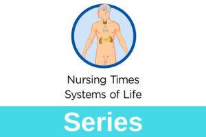 Anatomy and physiology of ageing 7: the endocrine system | Nursing Times