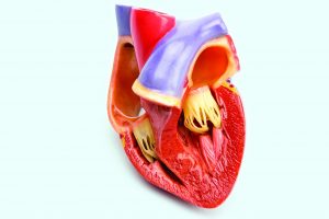 NICE set to recommend first treatment for type of chronic heart failure ...