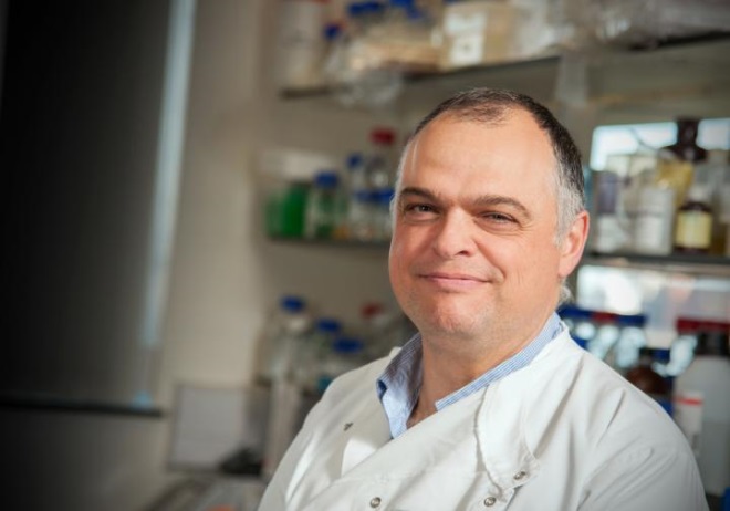 UK researchers report breakthrough in fighting killer superbug ...