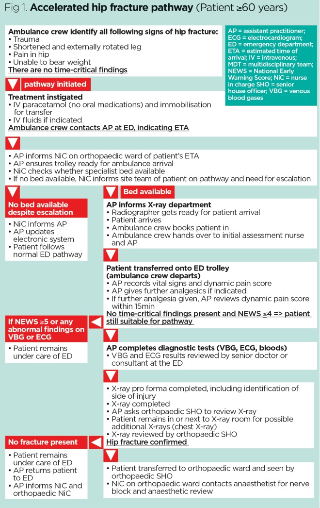 Involving associate practitioners in a hip fracture pathway | Nursing Times