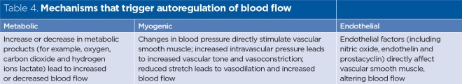 Vascular system 1: anatomy and physiology | Nursing Times