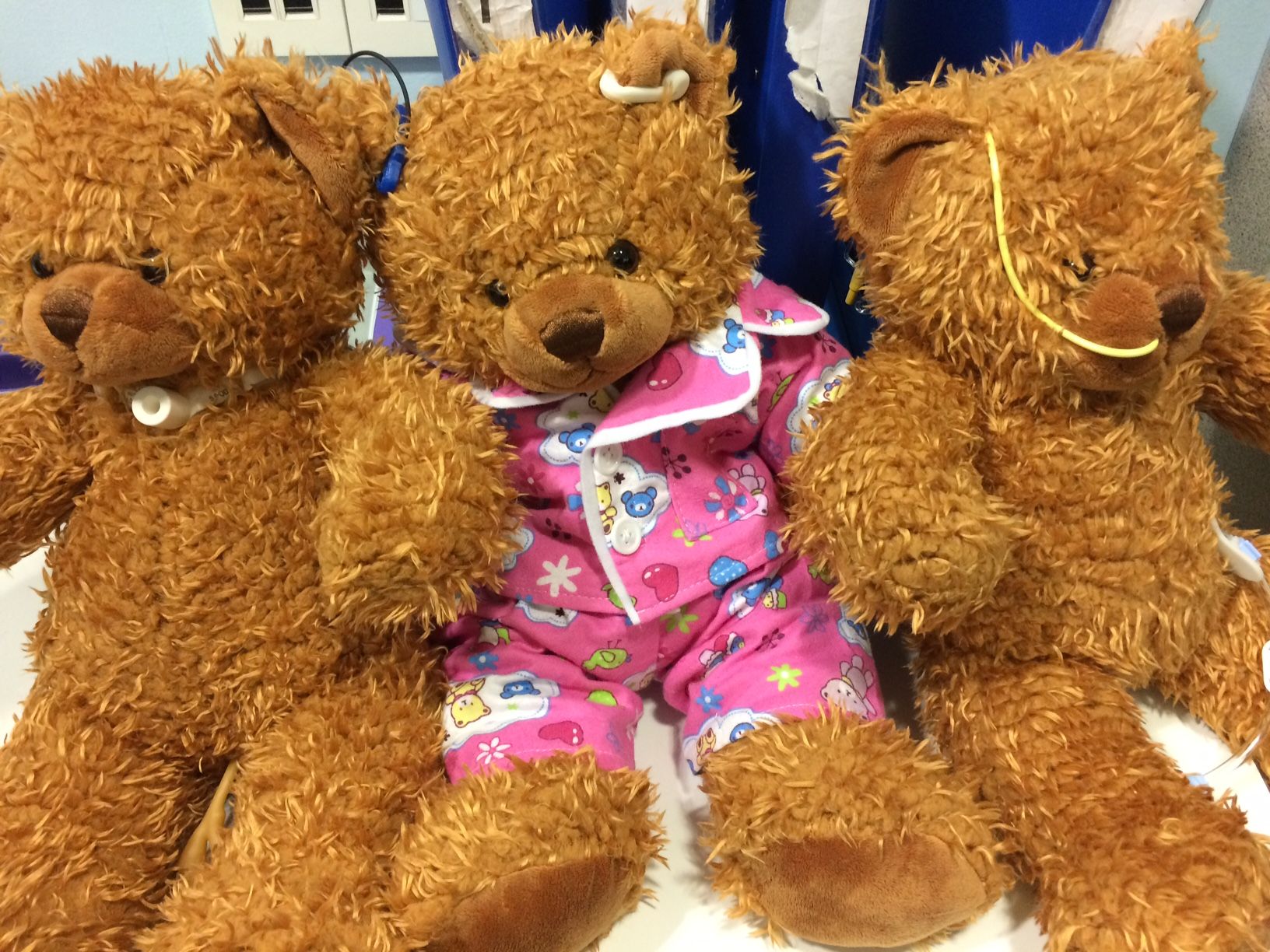 ‘Special teddy bears’ to help children with learning disabilities in ...