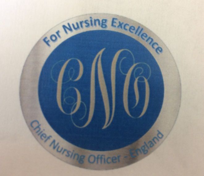 First children’s nurse to receive silver CNO nursing award | Nursing Times