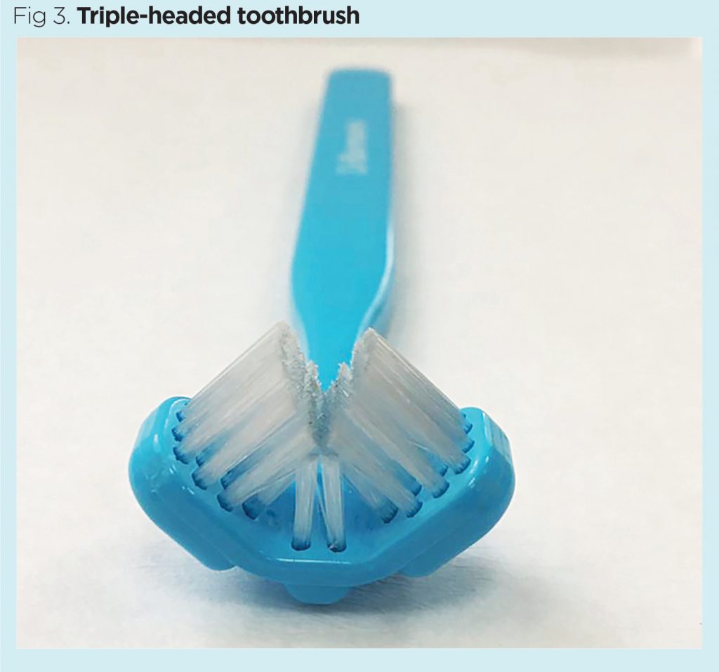The nurse’s role in the oral assessment and care of children in ...