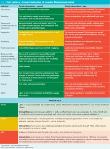 Identifying pain in people who have complex communication needs ...