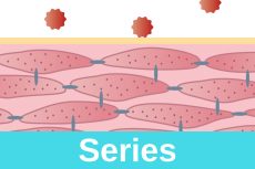 Incontinence-associated dermatitis 2: assessment, diagnosis and ...