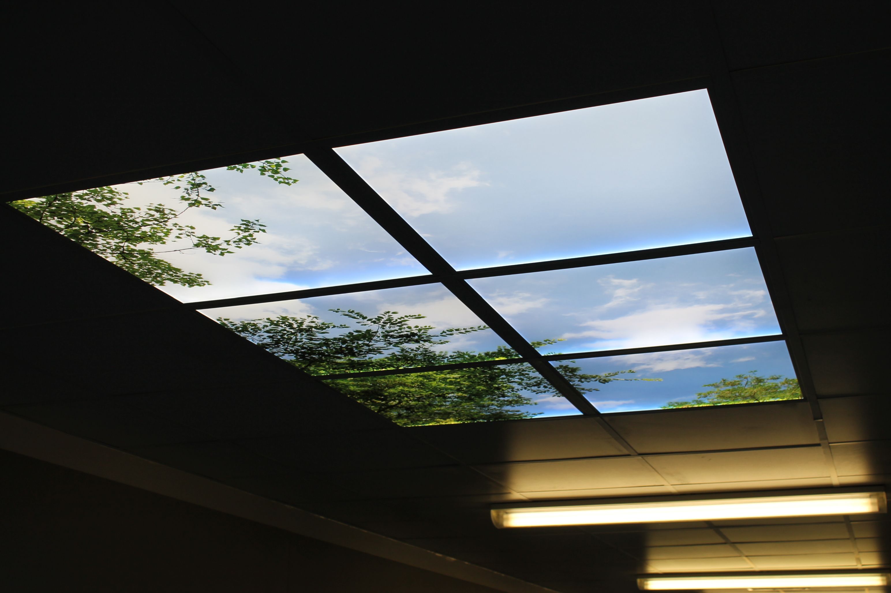 Installing lights in hospital mortuary helping bereaved families, say ...