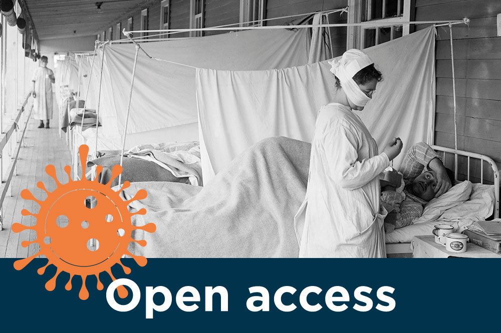 Learning from the past? Spanish influenza and the lessons for Covid-19 ...