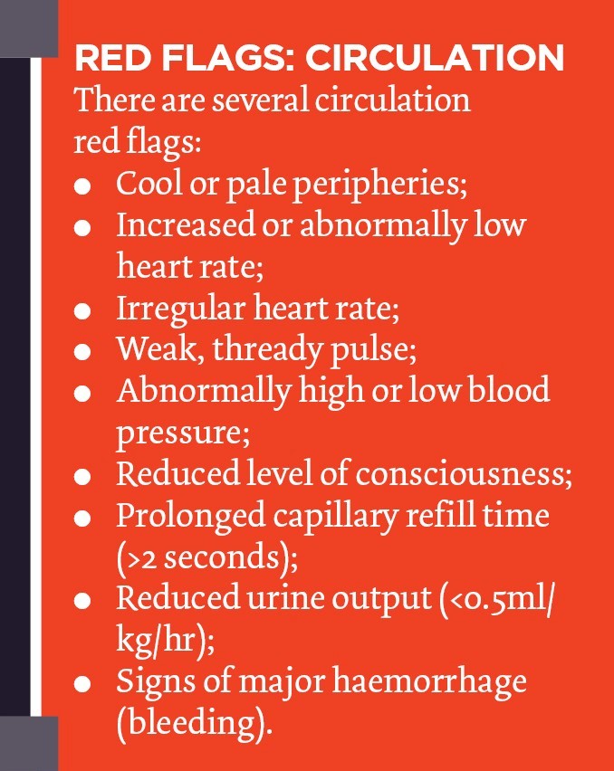 Essential critical care skills 2: assessing the patient | Nursing Times