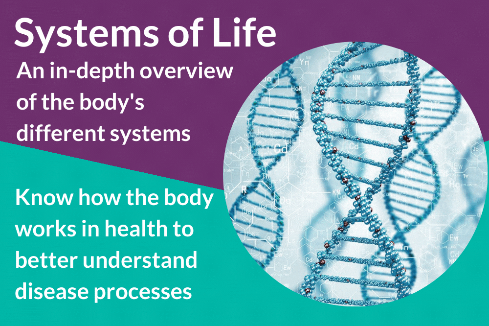 New standards on the supervision and assessment of students in practice ...