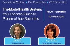 The Model Health System: an essential guide to pressure ulcer reporting ...