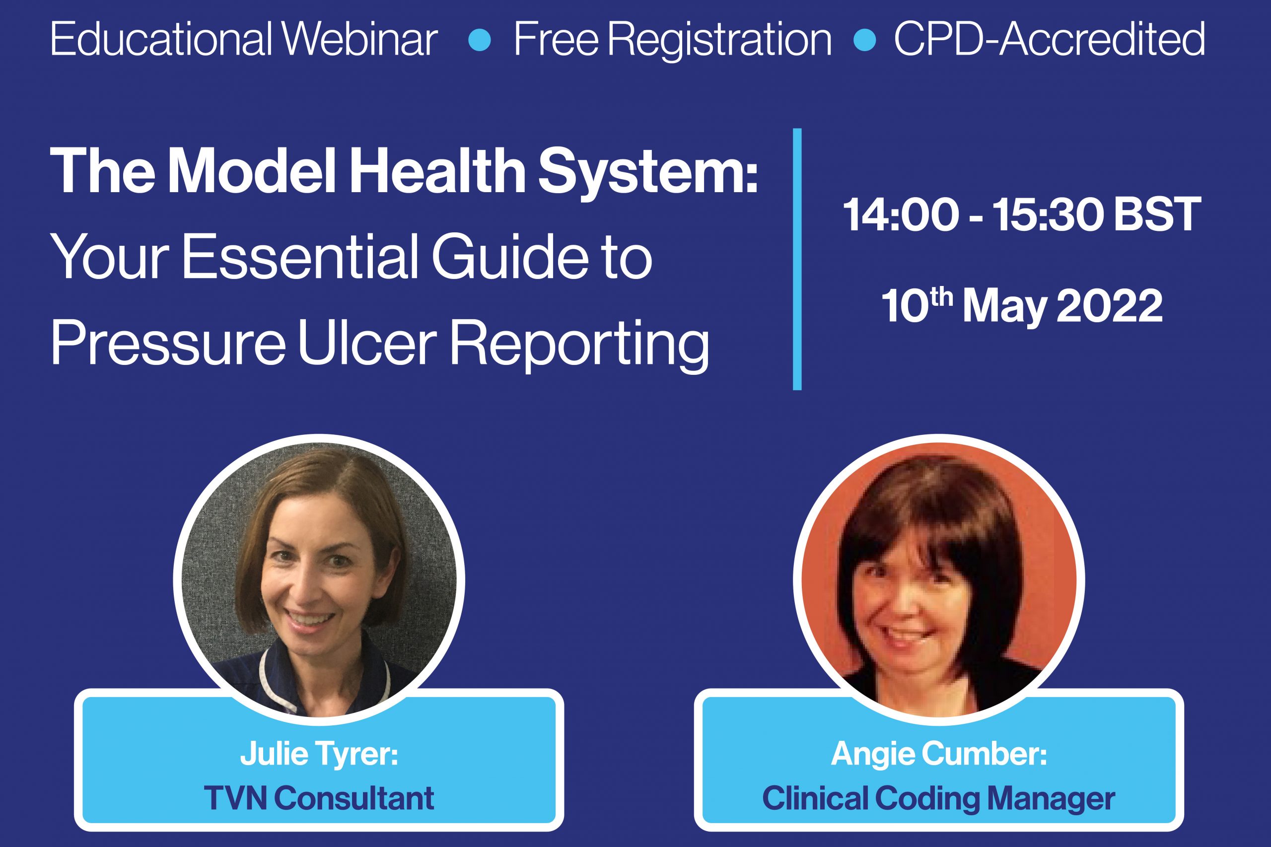 The Model Health System: an essential guide to pressure ulcer reporting ...