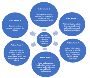 ‘The 6Cs should be included in higher education to support mental ...