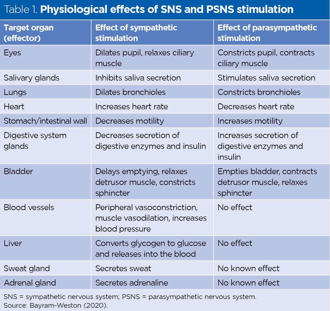 Nervous system 6: the autonomic nervous system – anatomy and function ...