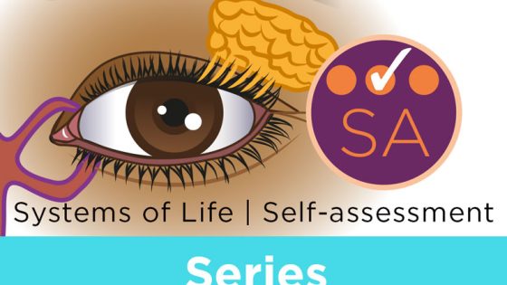 The senses 2: vision – eye anatomy and the visual sensory system ...