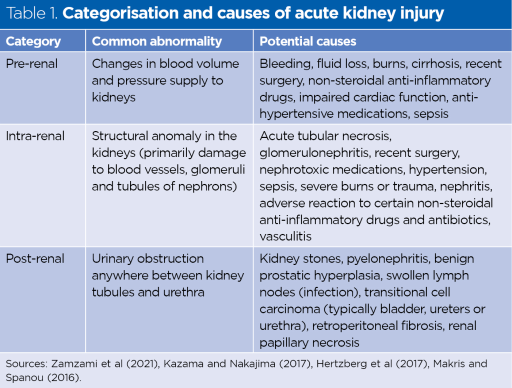 Acute Kidney Injury Classification Using Three Prifle