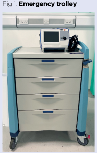 Adult emergency trolley 1: equipment to support airway and breathing ...