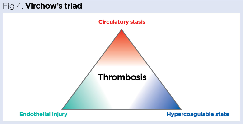 Pregnancy 1: effects on haematological and cardiovascular systems ...
