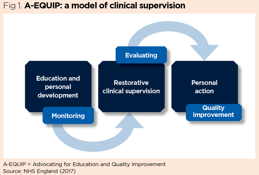 Professional nurse advocates and the A-EQUIP model: key considerations ...
