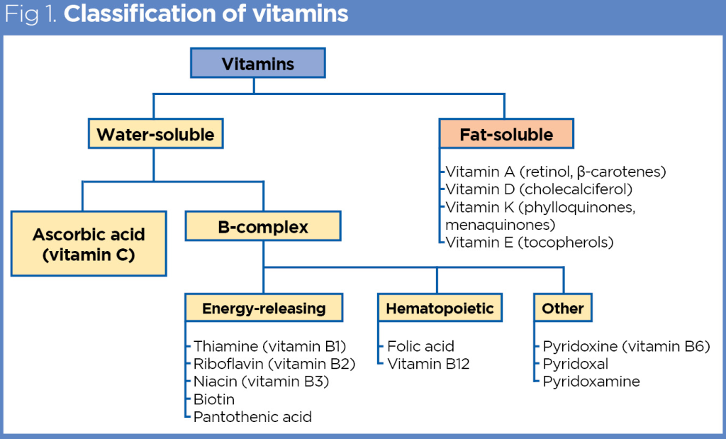 Vitamins A and C: their function and structure explained | Nursing Times