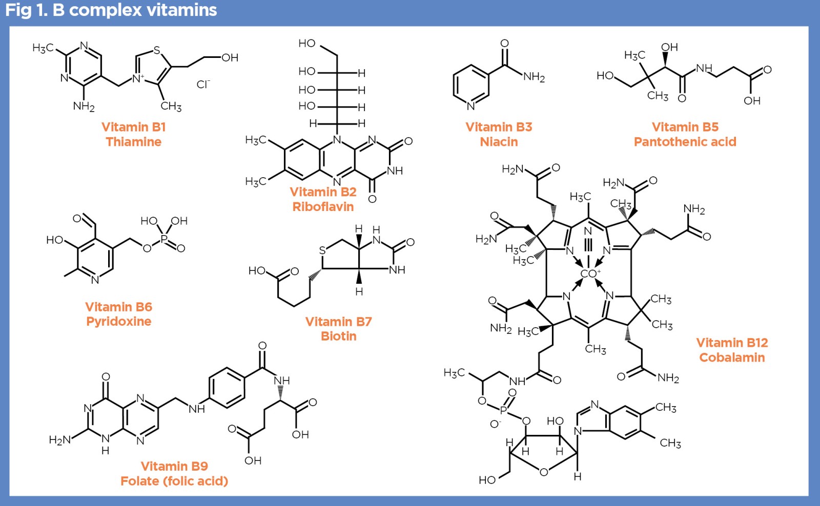 Vitamin B complex: B group vitamins and their role in the body ...