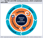 Monitor, contribute, inform: a process to guide nursing associates ...