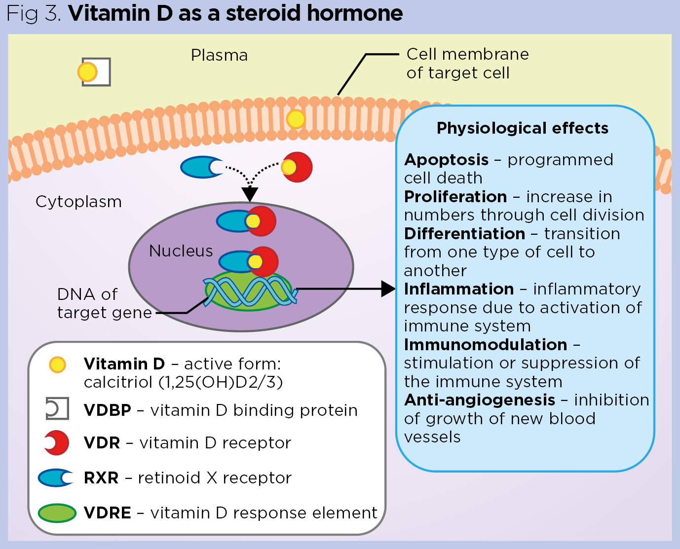 Vitamin D Structure Vitamin D3 Drops | Seeking Health