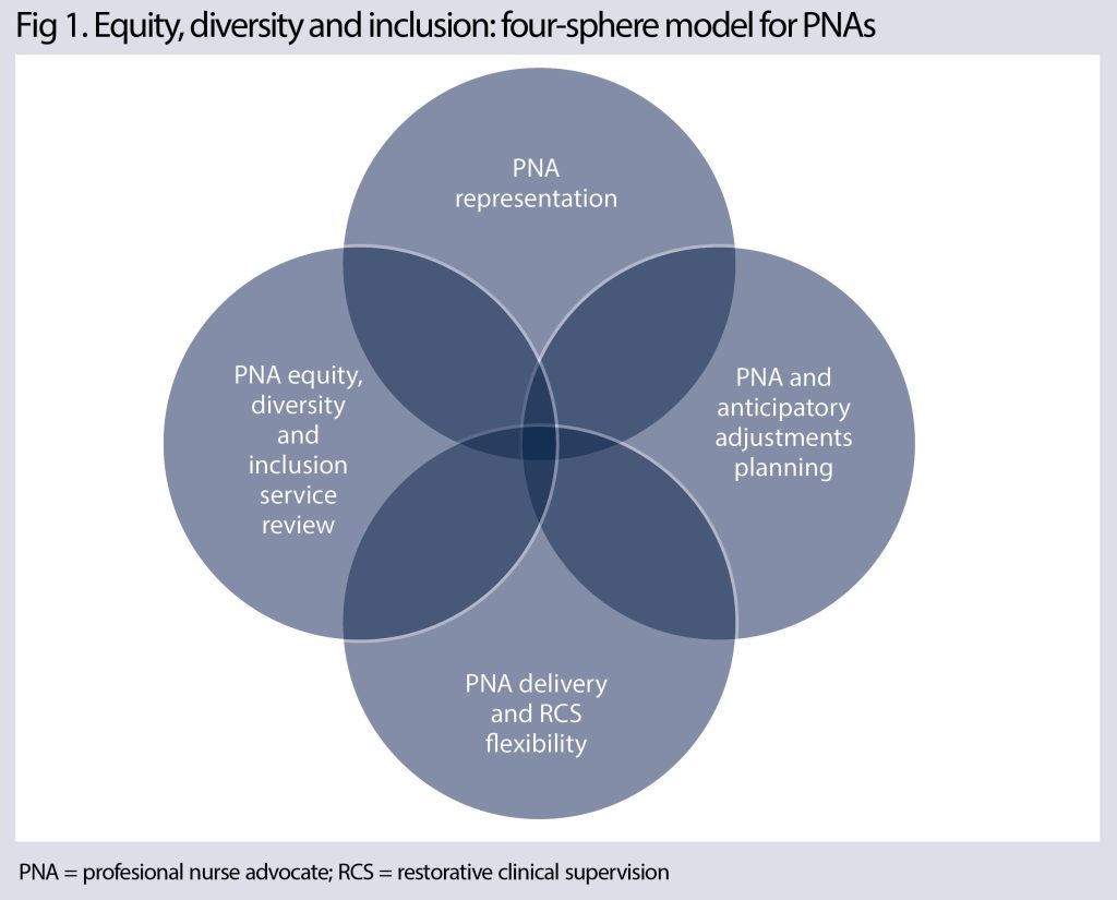 Equity, diversity and inclusion: principles and prompts for PNA ...