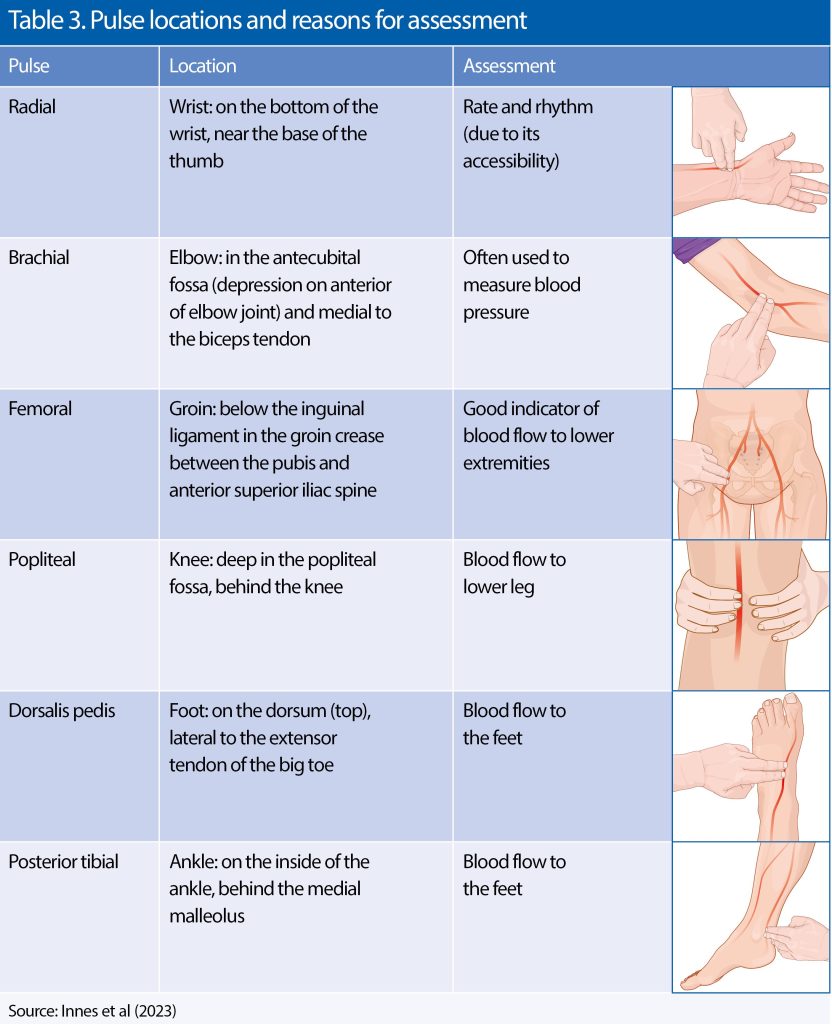 How to conduct a cardiovascular assessment in advanced practice ...