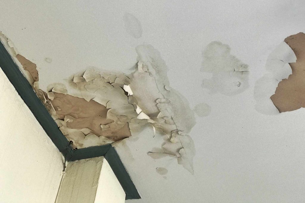 Exposure to damp and mould increases children’s risk of respiratory ...