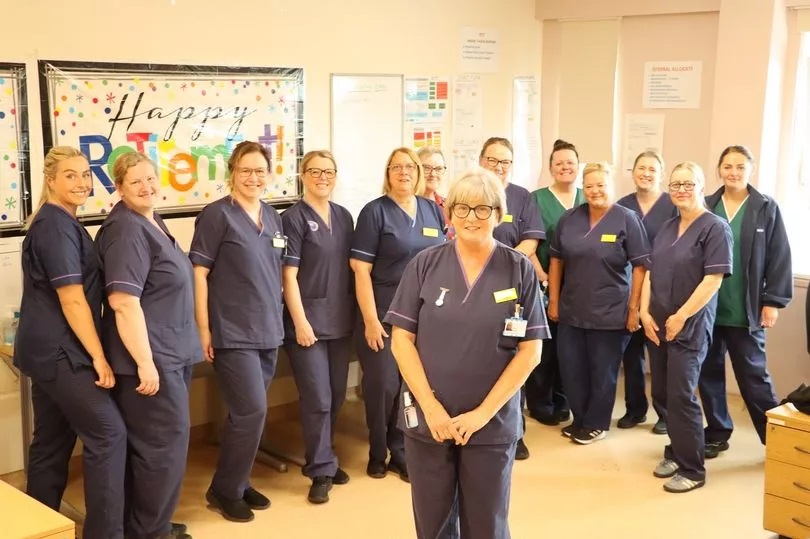 Community matron who pioneered working with care homes retires ...