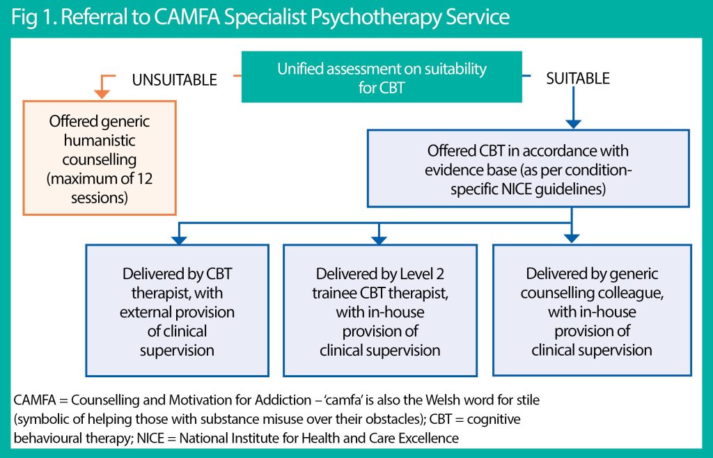 Cognitive behavioural therapy: establishing a service in North Wales ...