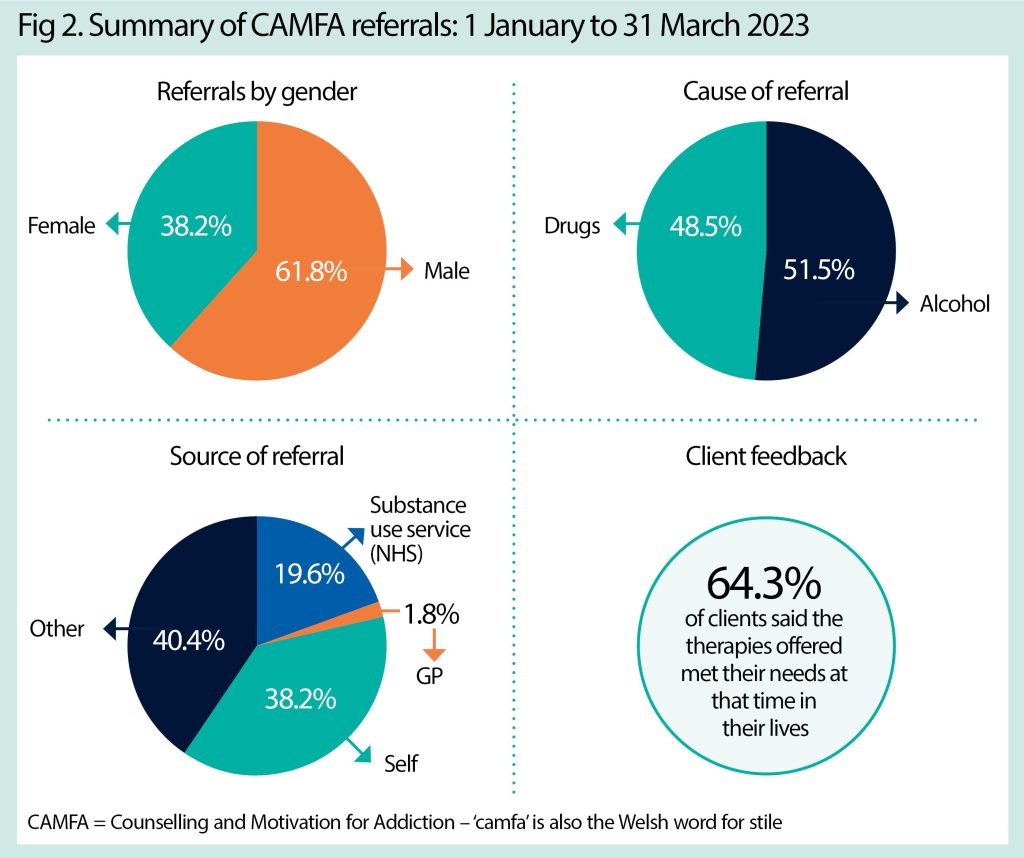 Cognitive behavioural therapy: establishing a service in North Wales ...