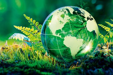 How to go green with a sustainable quality improvement project ...