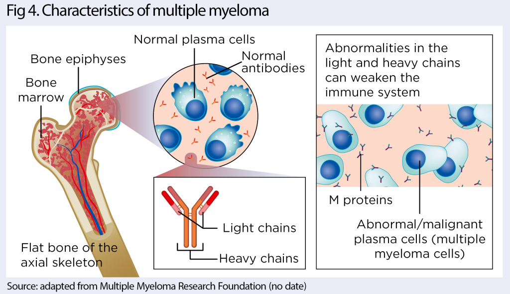 Exploring the nature of miscellaneous blood and bone marrow disorders ...