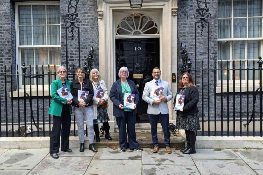 School nursing services at 'breaking point', government told | Nursing ...