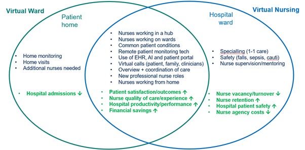 Supporting NHS reform: revolutionising nursing through virtual nursing ...