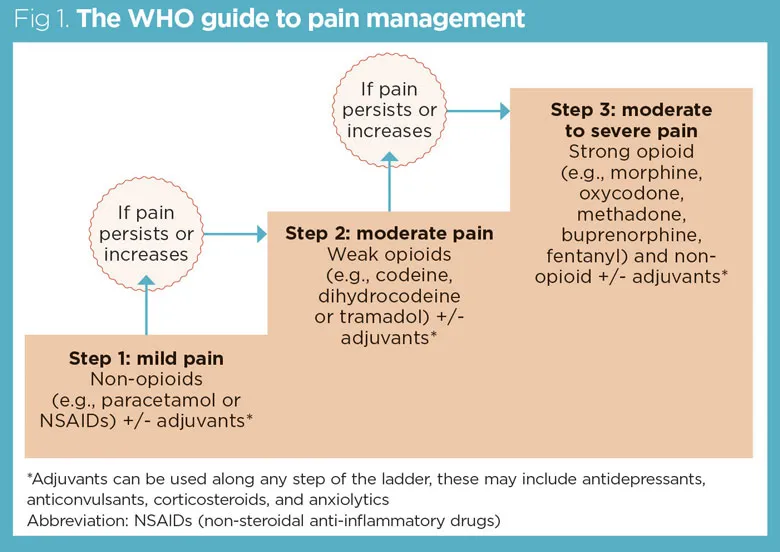 Medication management in end-of-life dementia care | Nursing Times
