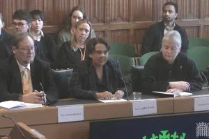 The evolution of advanced nursing practice: past, present and future ...